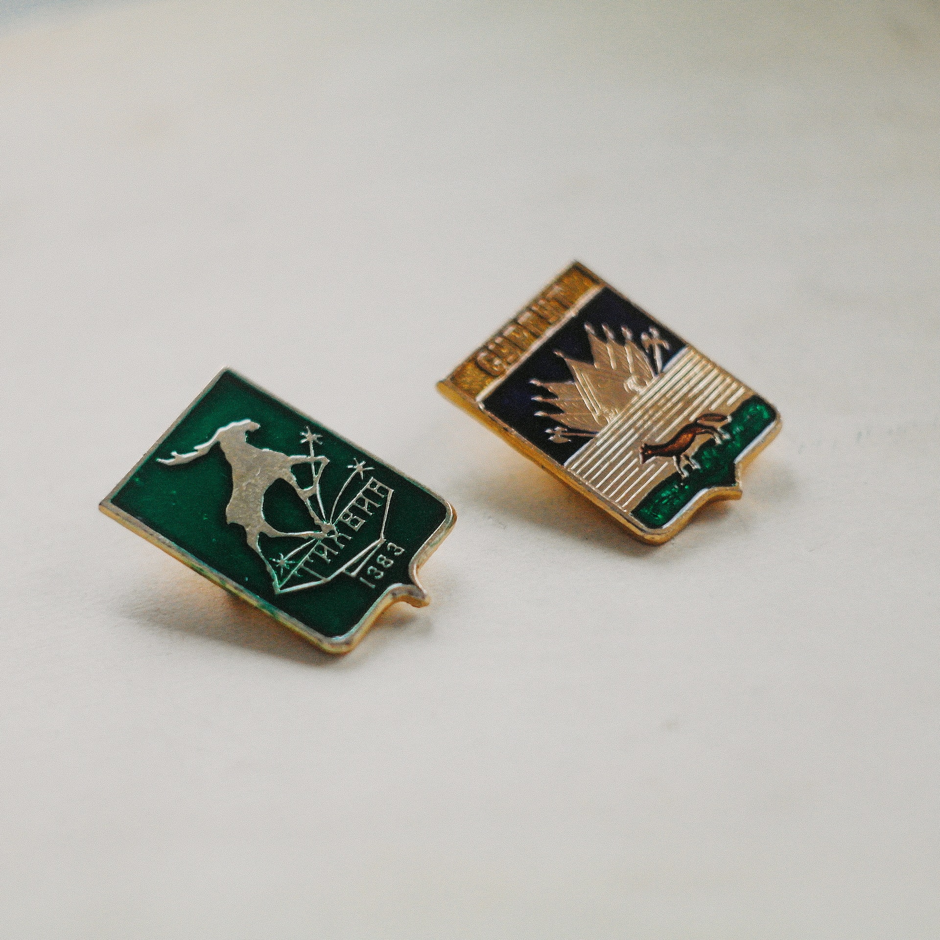 Custom Lapel Pins: Connection and Community in Schools